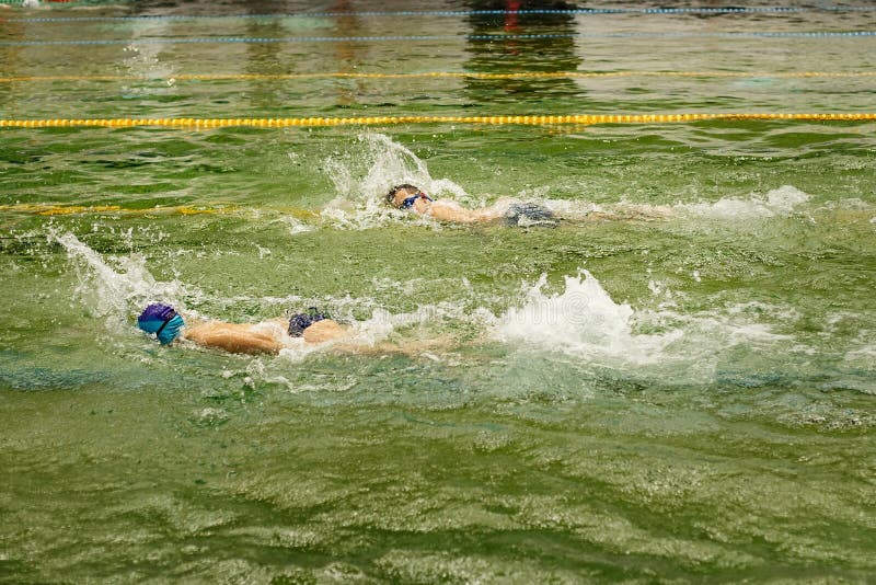 Children Train in the Swimming Pool Stock Image - Image of swim ...