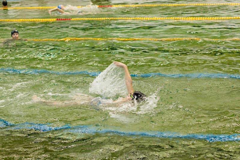 Children Train in the Swimming Pool Stock Image - Image of competitions ...