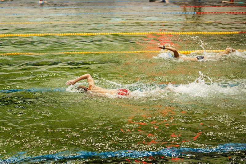 Children Train in the Swimming Pool Stock Photo - Image of anonymous ...