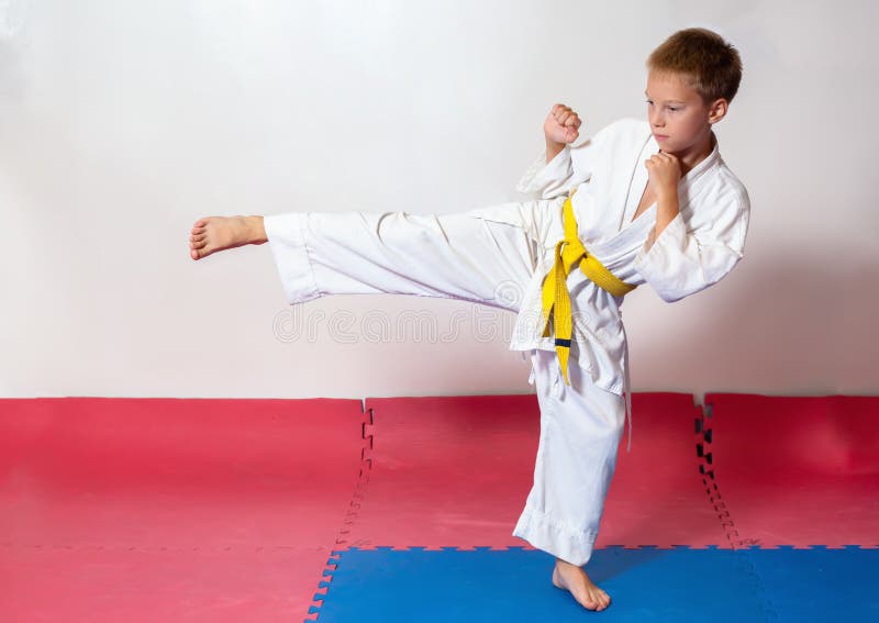 Children during Training in Karate. Fighting Position Stock Photo ...