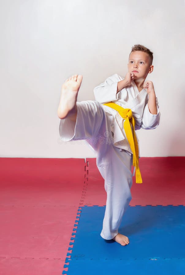 Children during Training in Karate. Fighting Position Stock Image ...