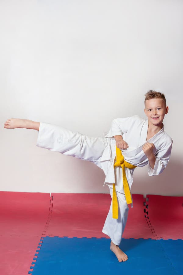 Children during Training in Karate. Fighting Position Stock Image ...
