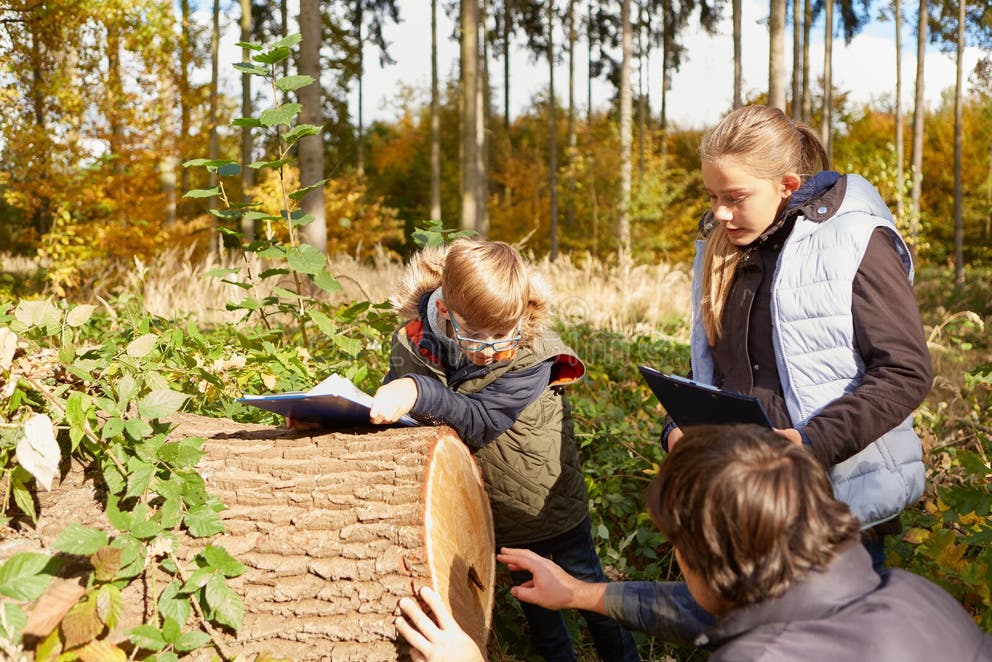 Children at Tree Science Learn Age Determination Stock Image - Image of ...