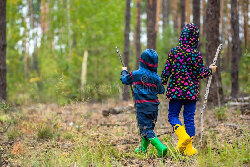 Children Walk in the Forest with Canes. Stock Photo - Image of people ...