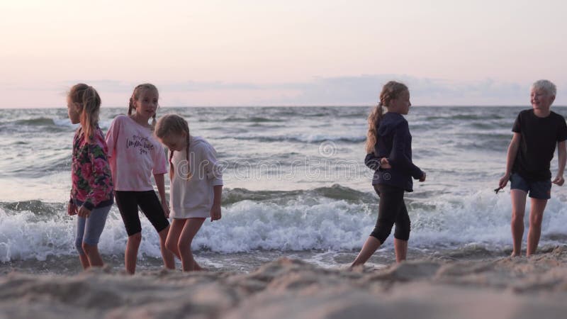 Children Walk on the Sandy Beach and Play with Sticks Stock Video ...