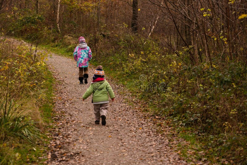 Children Walking in the Forest Stock Image - Image of color, autumn ...