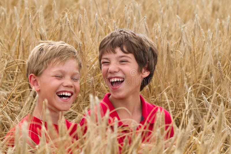 Children in a wheat field stock image. Image of peaceful - 25670649