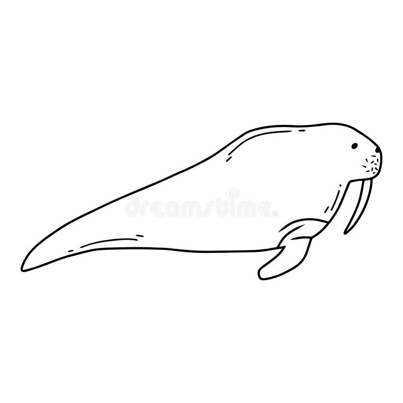 Walrus Doodle Stock Illustrations – 637 Walrus Doodle Stock ...