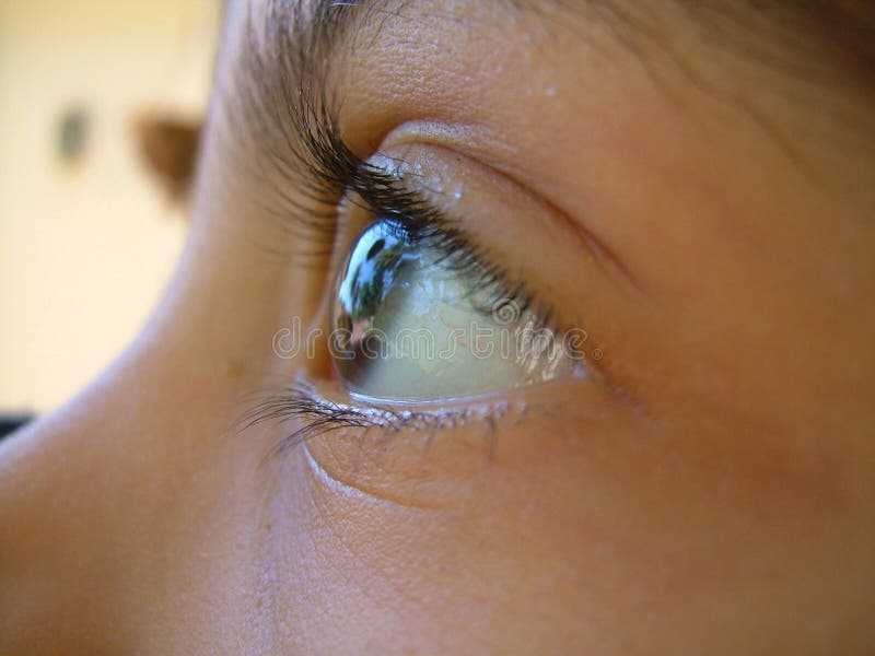 Through a Childs eye stock image. Image of reflection, lashes - 133655