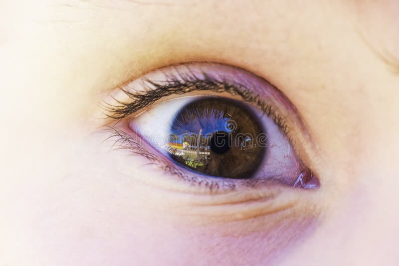 Eye reflection stock image. Image of reflection, cara - 4803293
