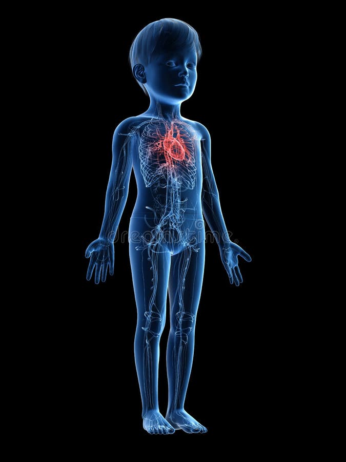A childs heart stock illustration. Illustration of artwork - 147502587