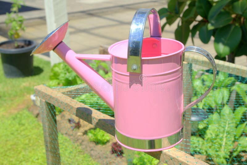 Childs Pink Watering Can and Tools Stock Image - Image of pink ...