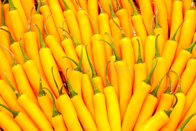 Chile amarillo foto de archivo. Imagen de macro, mercado - 72110732