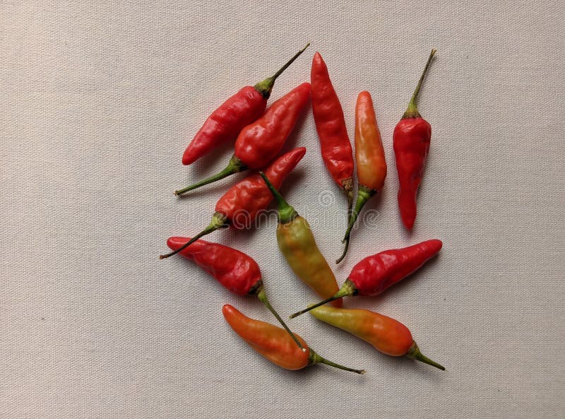 Chile Blanco Aislado Para Uso En Ingredientes Alimentarios. Imagen de ...