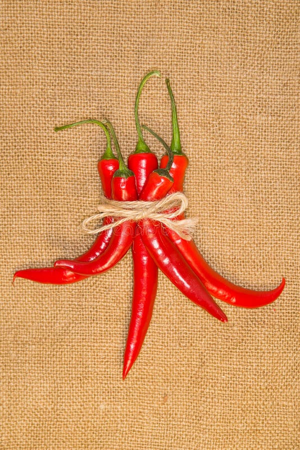 Chile Peppers Tied with a Rope on Old Cloth Stock Photo - Image of ...