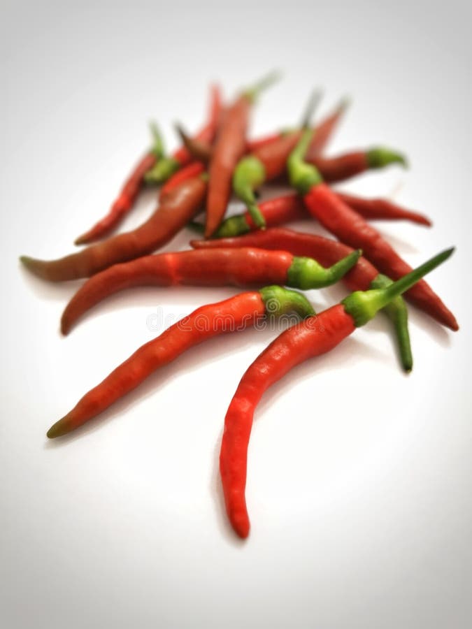 Chile Picante Aislado De Fondo Blanco Foto de archivo - Imagen de ...