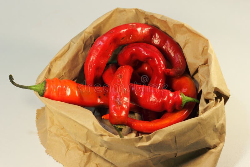 El Chile Podrido No Se Puede Cosechar Foto de archivo - Imagen de ...