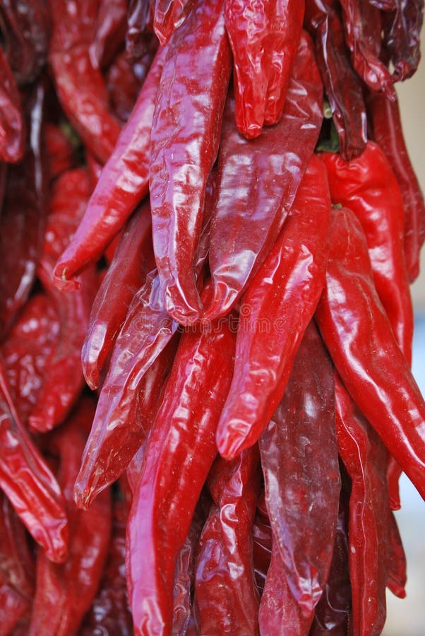 Chile ristra stock image. Image of chile, crop, farm - 11003419