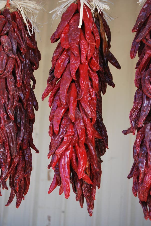 Chile ristras stock photo. Image of farm, chile, plant - 11003426