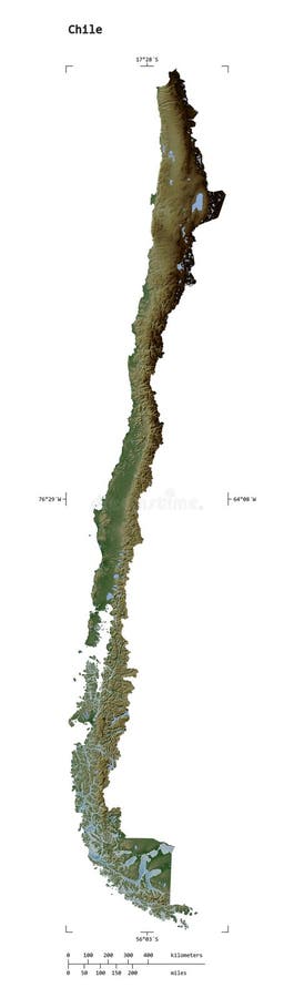 Chile shape on white. Pale stock illustration. Illustration of ...