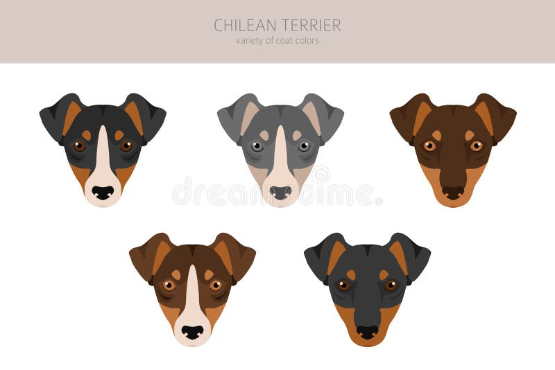 Ratter Clipart Stock Illustrations – 42 Ratter Clipart Stock ...