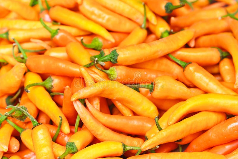 Chiles amarillos foto de archivo. Imagen de verde, ingrediente - 25202950