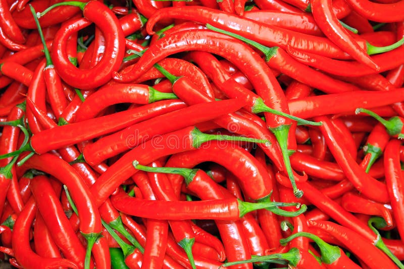 Chiles rojos foto de archivo. Imagen de salsa, mexicano - 13962084