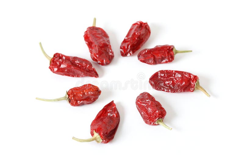 Chili stock image. Image of spicy, isolated, seasoning - 10495807