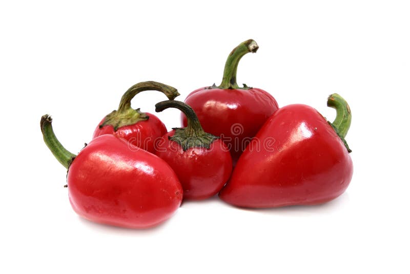 Chili stock image. Image of piece, healthy, farm, curry - 11770865