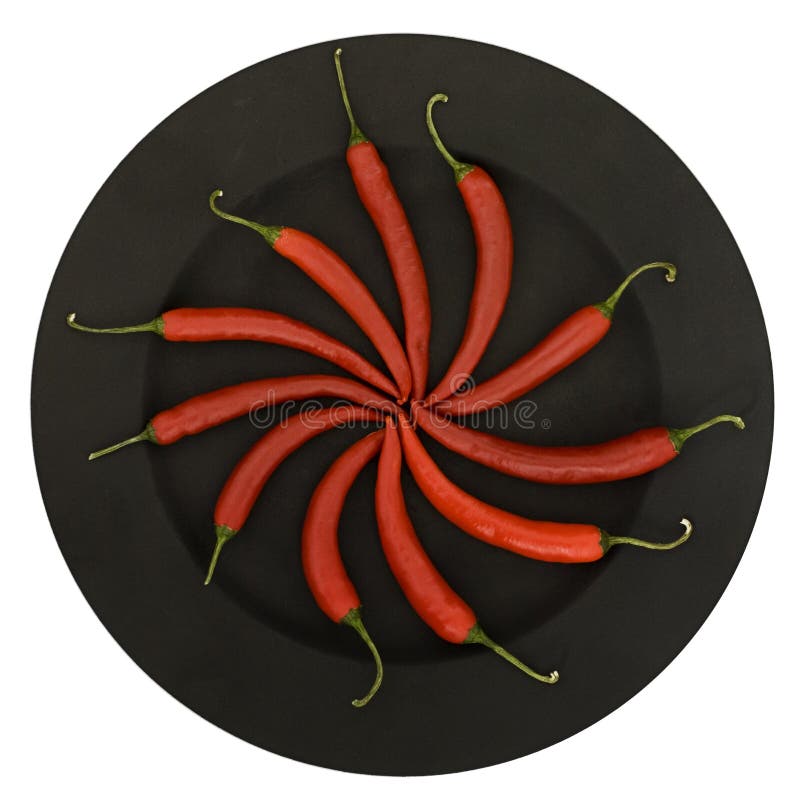 Chili stock photo. Image of spice, circle, chili, food - 14210024