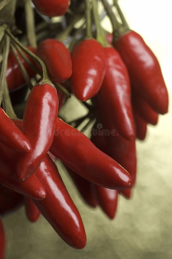 Hottest Silver Stock Photos - Free & Royalty-Free Stock Photos from ...