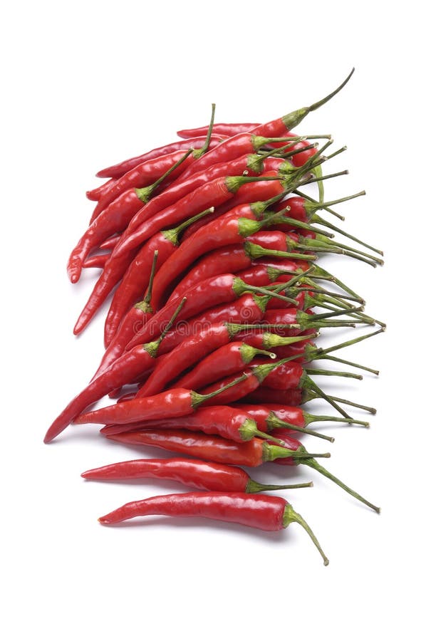 Chili stock image. Image of outdoors, asia, pepper, agricultural - 7439399