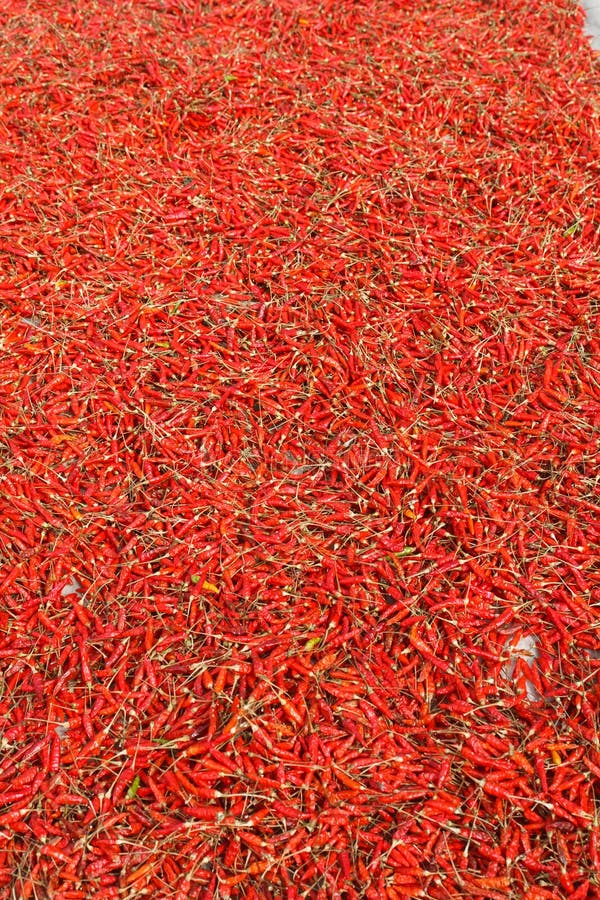 Chili stock image. Image of hessian, decoration, produce - 93389981