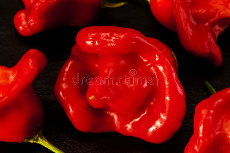 Bishop Crown Chilli Pepper Stock Photos - Free & Royalty-Free Stock ...