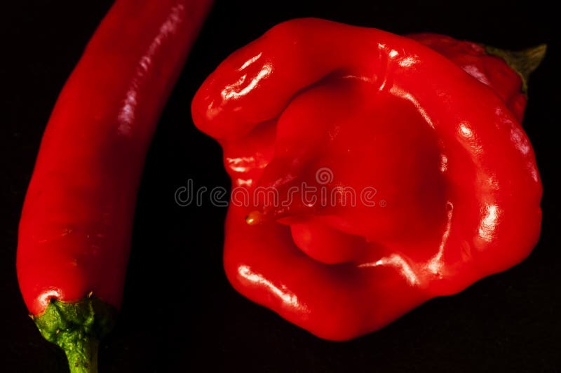 Chili bishopÂ´s crown stock photo. Image of capsicum - 28264150