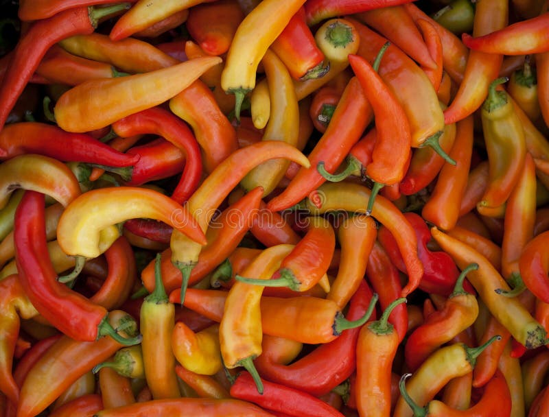Chili colors stock image. Image of market, vegetable - 15720389