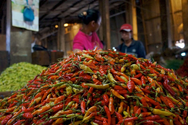 Chili editorial image. Image of business, solo, farmers - 48664030