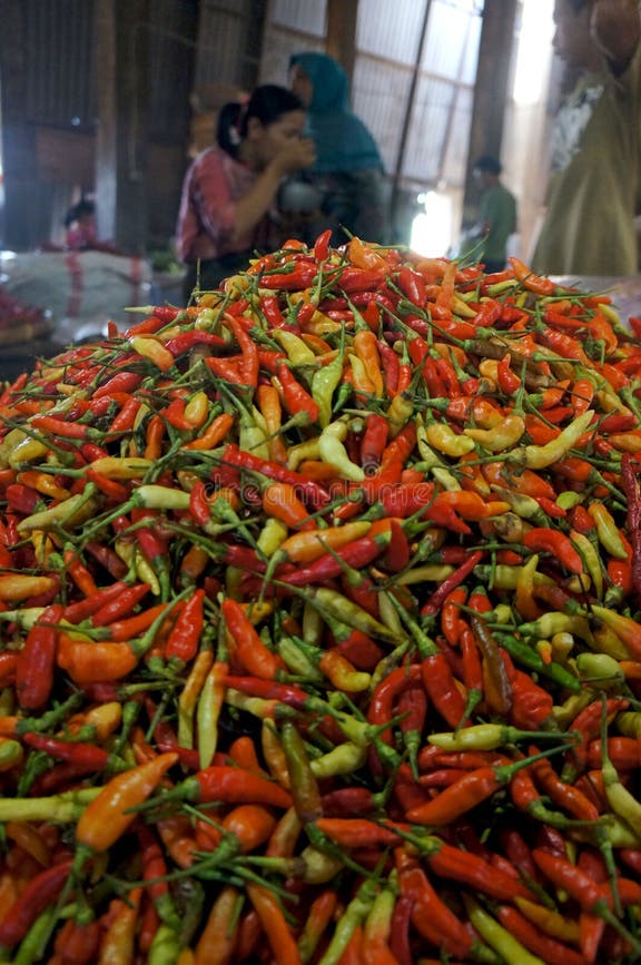 Chili editorial photography. Image of central, food, java - 48664047