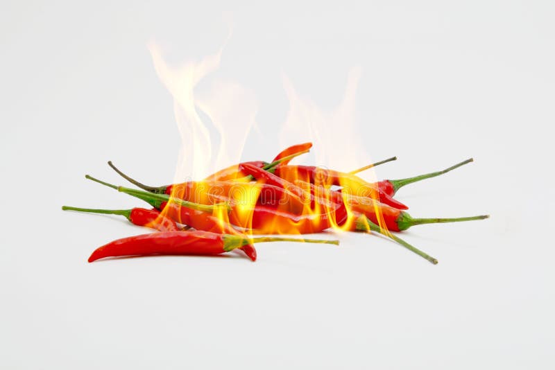 12,238 Chili Fire Photos - Free & Royalty-Free Stock Photos from Dreamstime