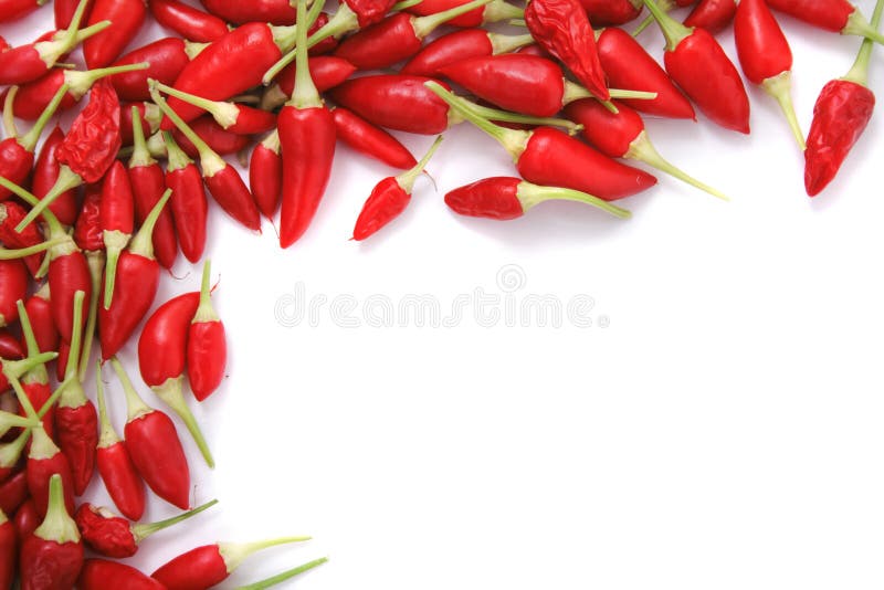Chilli Border Background stock image. Image of creep, background - 693779