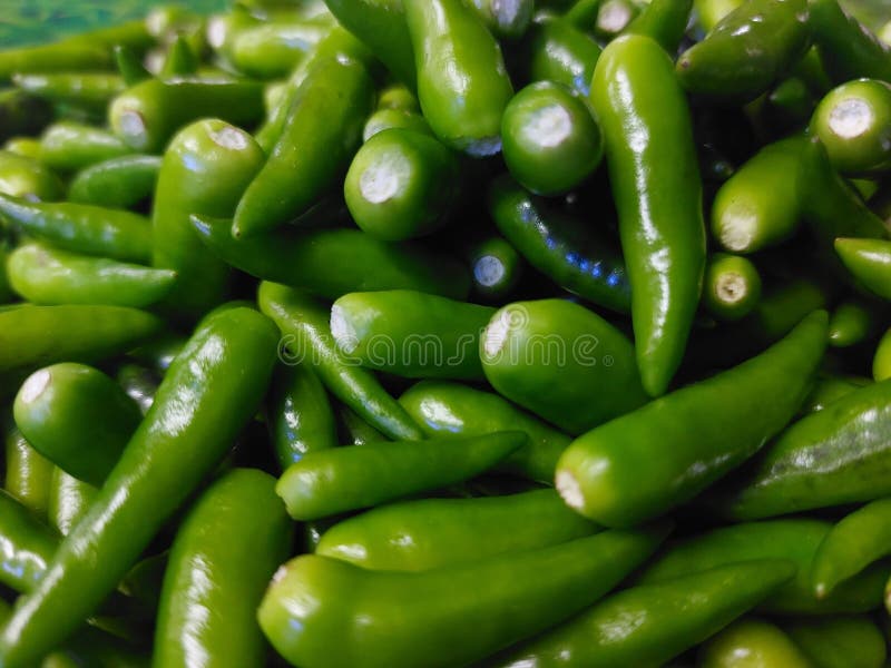 Green Hotpaper Stock Photos - Free & Royalty-Free Stock Photos from ...