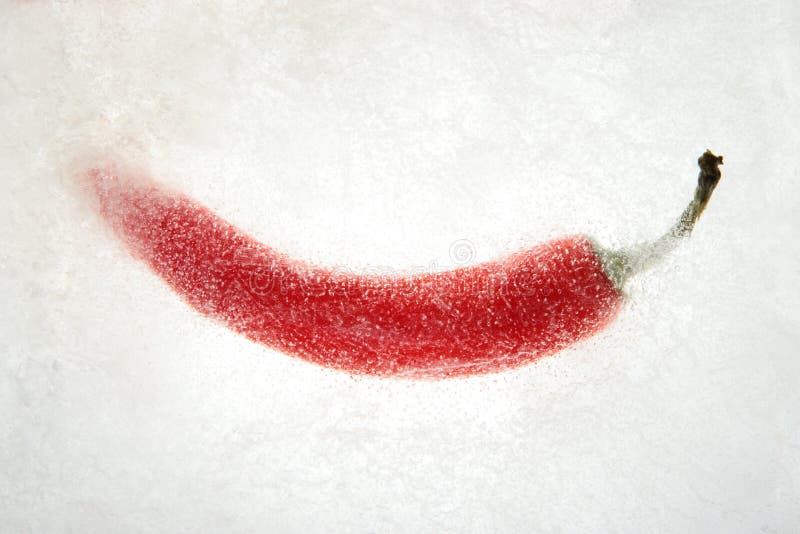 Chili in Ice stock photo. Image of vegetable, cool, freezer - 4621904