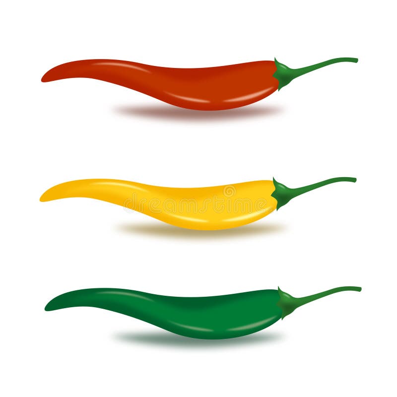 Chili Illustration Vector Set Isolated on White Background Stock Vector ...