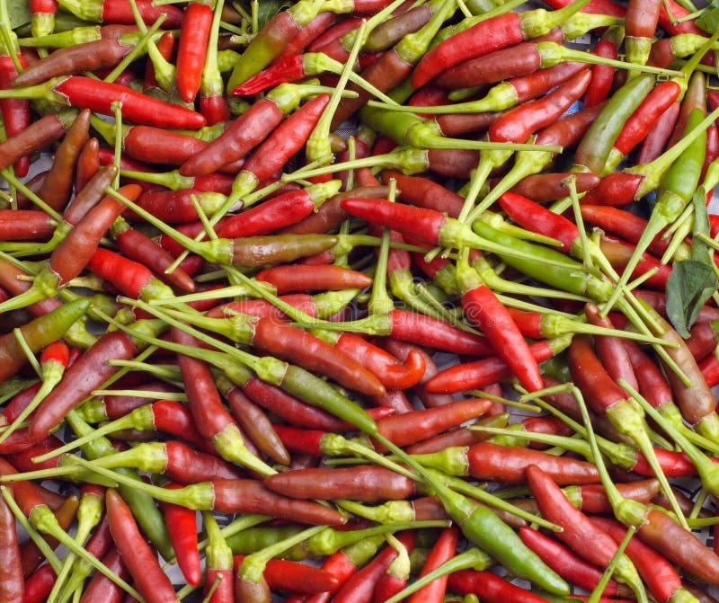 Fresh Red Chili Peppers on the Street Market in China. Stock Image ...