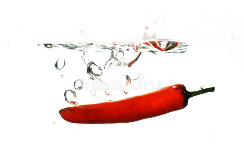 Chili pepper cook stock image. Image of jalapeno, close - 5537911