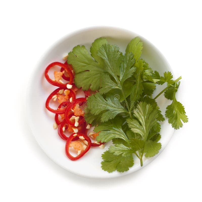 Chili Pepper and Coriander Isolated Stock Image - Image of bowl, food ...