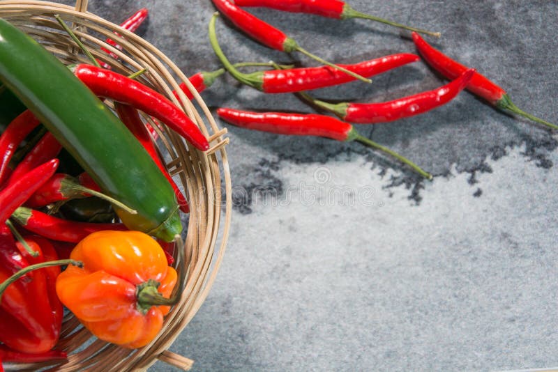 Chili Pepper, Different Types and Colors, with Copy-space, on Gray ...