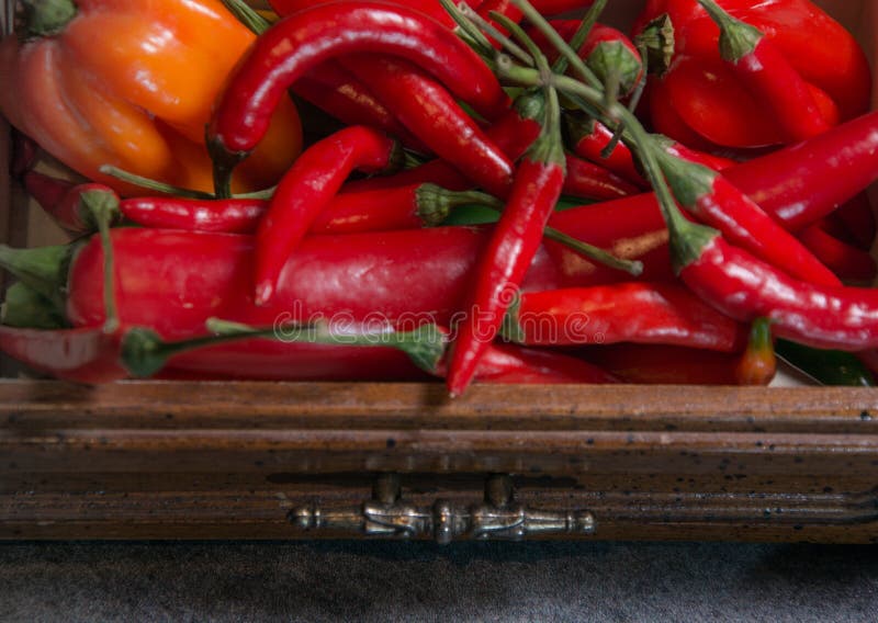 Chili Pepper, Different Types and Colors, Very Original, in Drawers ...