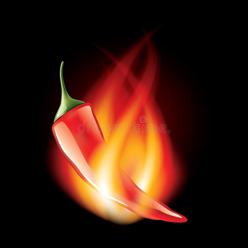 Chili Pepper in Fire Isolated on Black Vector Stock Vector ...