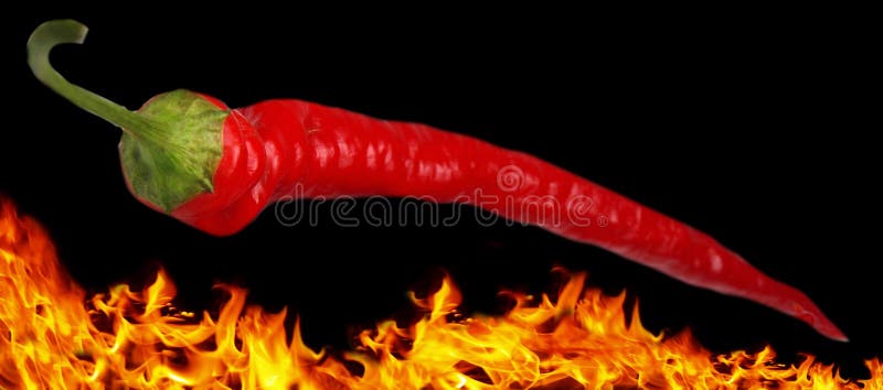 Flaming Hot Red Chili Pepper Stock Photos - Download 124 Royalty Free ...